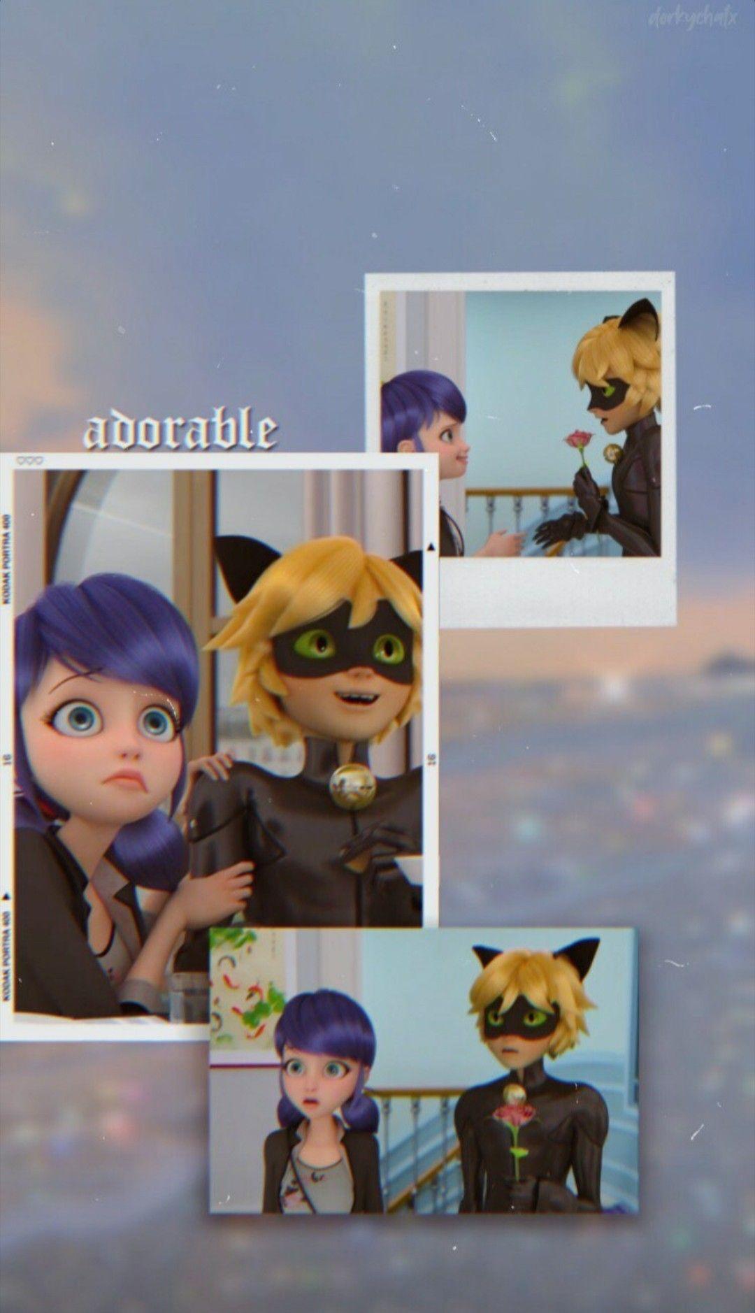 Marichat Wallpapers - Top Free Marichat Backgrounds - WallpaperAccess