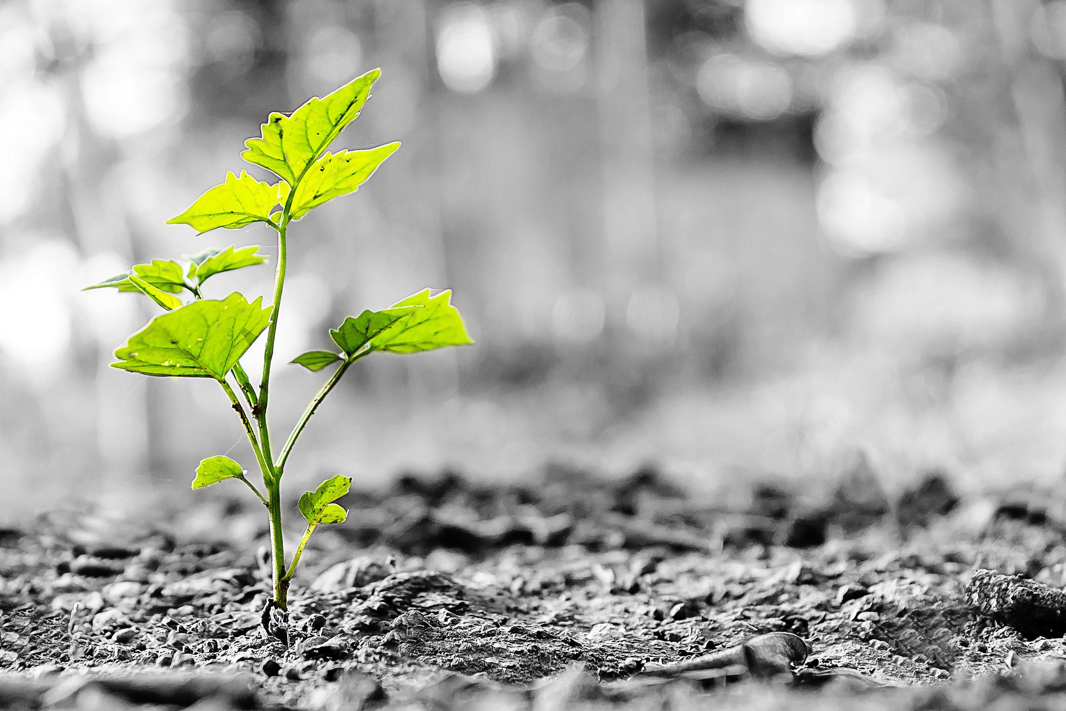 Amazing Life Wallpapers - Top Free Amazing Life Backgrounds ...