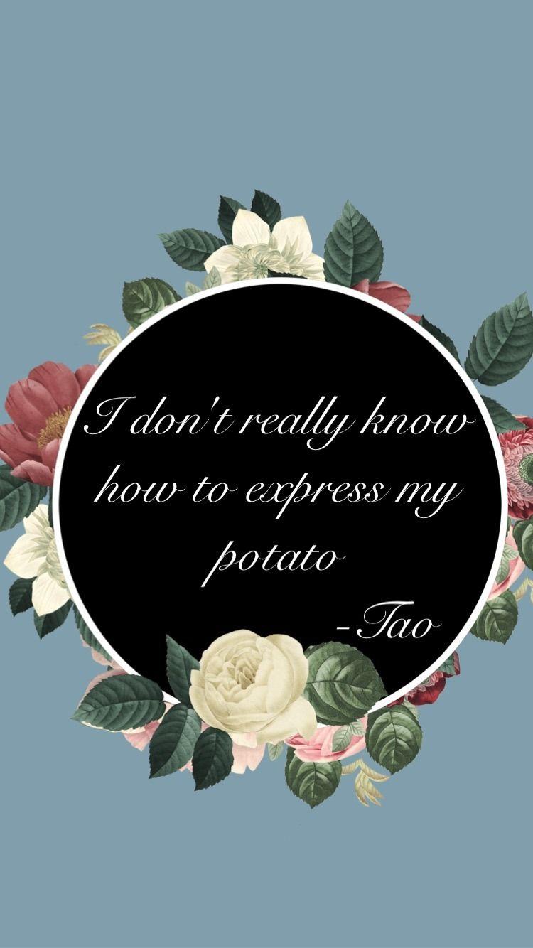 EXO Quotes Wallpapers - Top Free EXO Quotes Backgrounds - WallpaperAccess