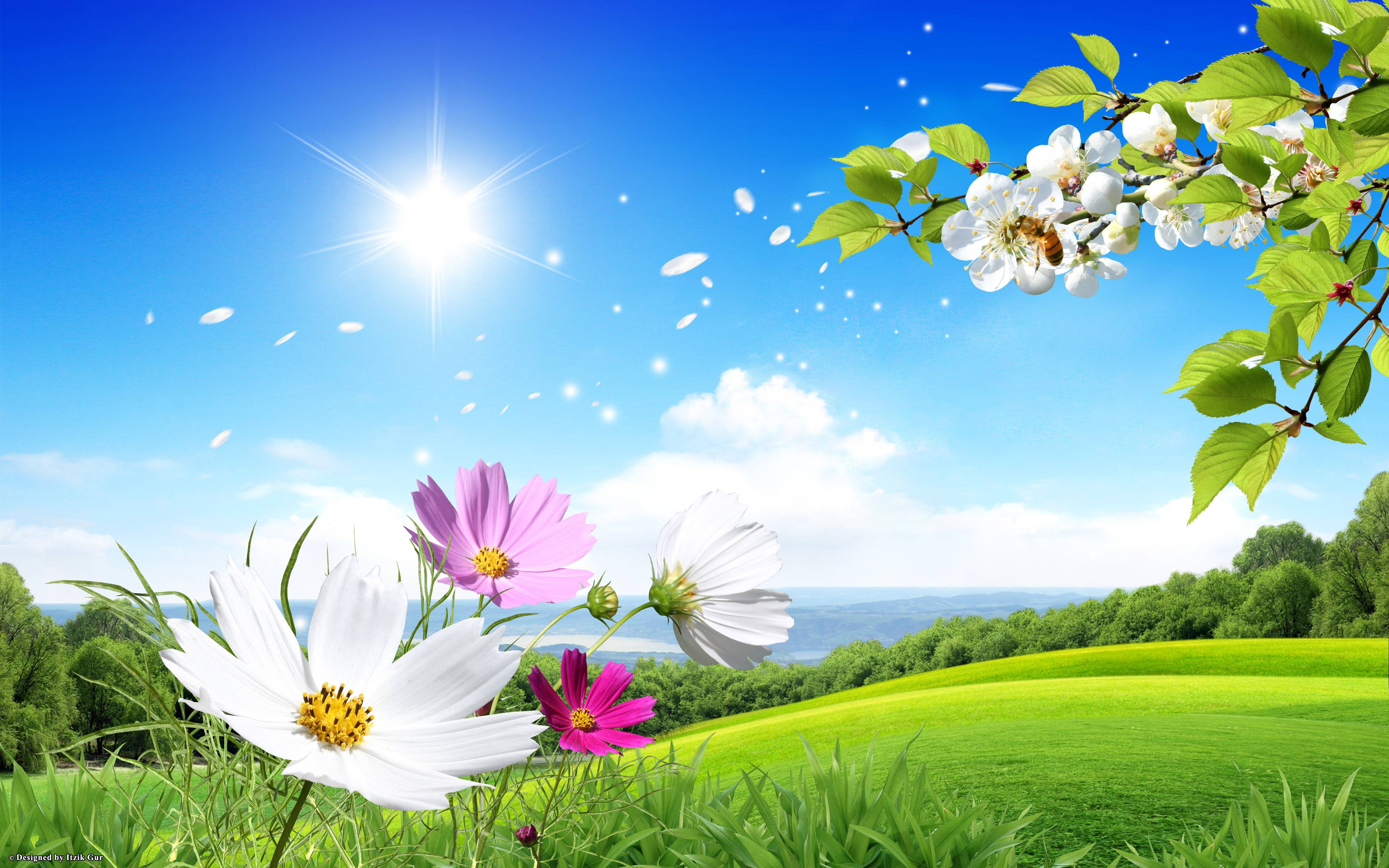 Flower Scenes Wallpapers - Top Free Flower Scenes Backgrounds ...