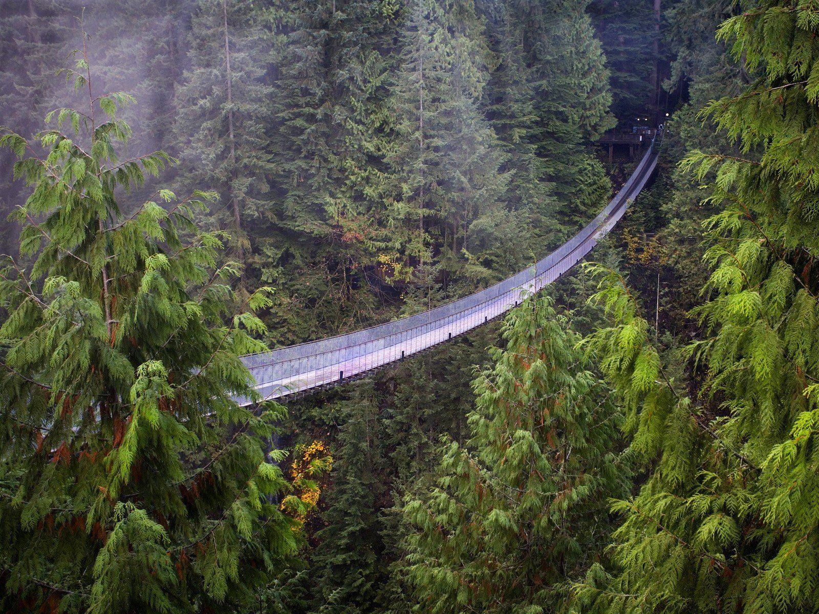 Capilano Suspension Bridge Wallpapers - Top Free Capilano Suspension ...