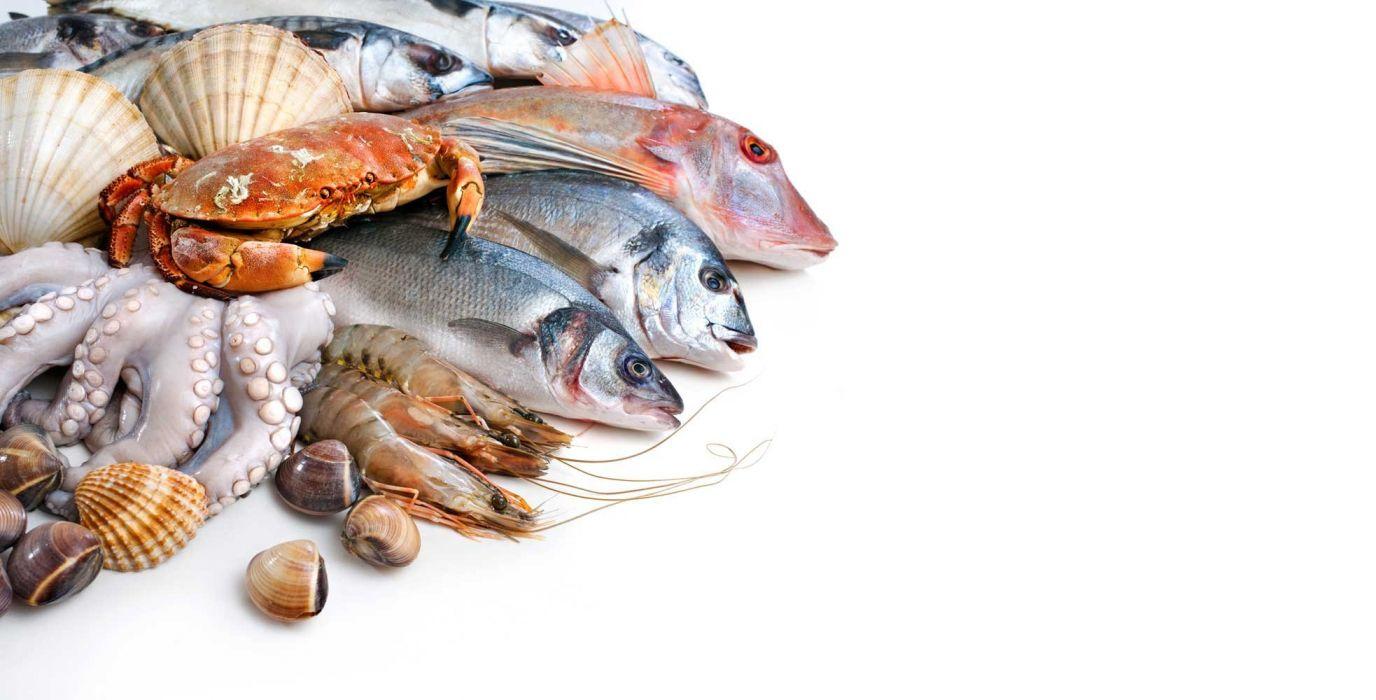Fish Food Wallpapers - Top Free Fish Food Backgrounds - WallpaperAccess