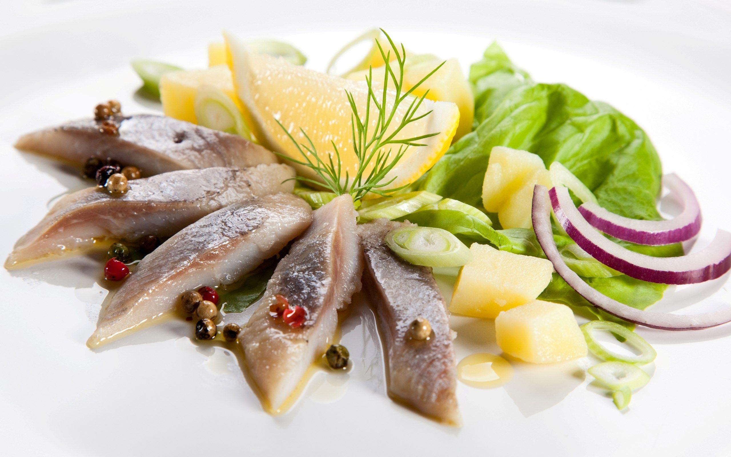 Fish Food Wallpapers - Top Free Fish Food Backgrounds - WallpaperAccess