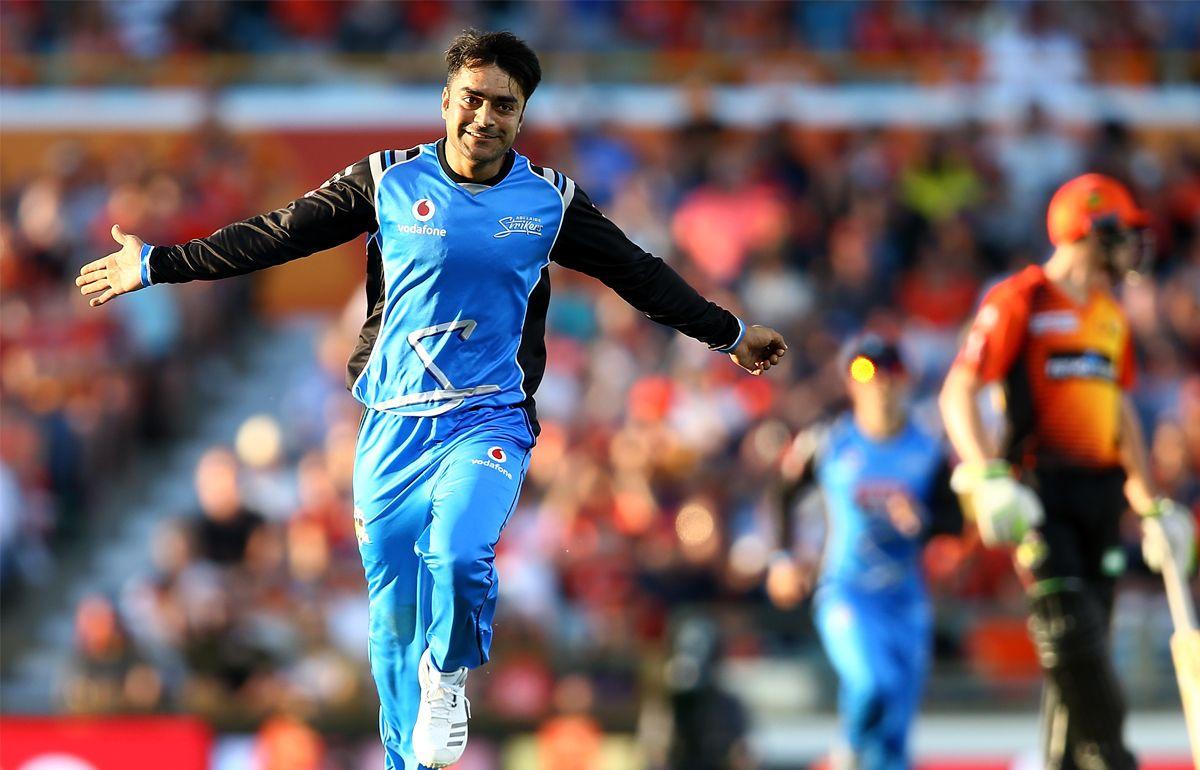 Rashid Khan Wallpapers - Top Free Rashid Khan Backgrounds - WallpaperAccess