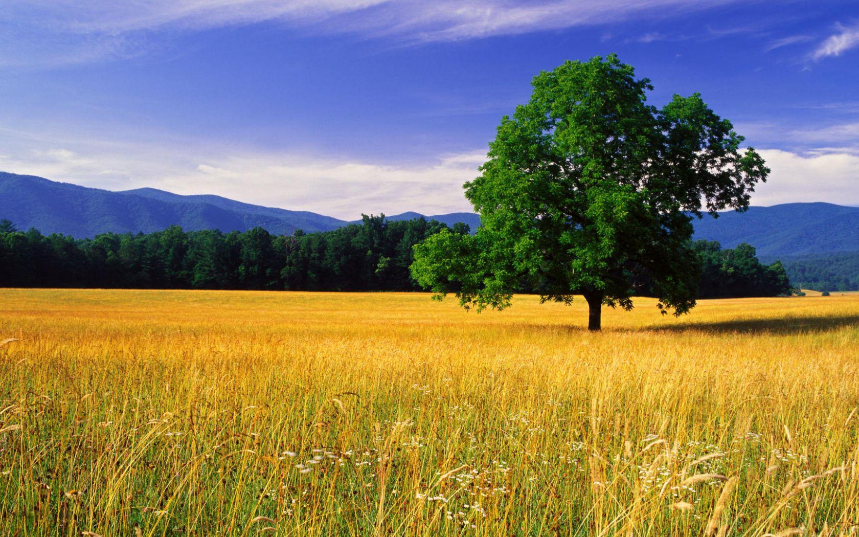 Outdoor Scenery Wallpapers - Top Free Outdoor Scenery Backgrounds ...