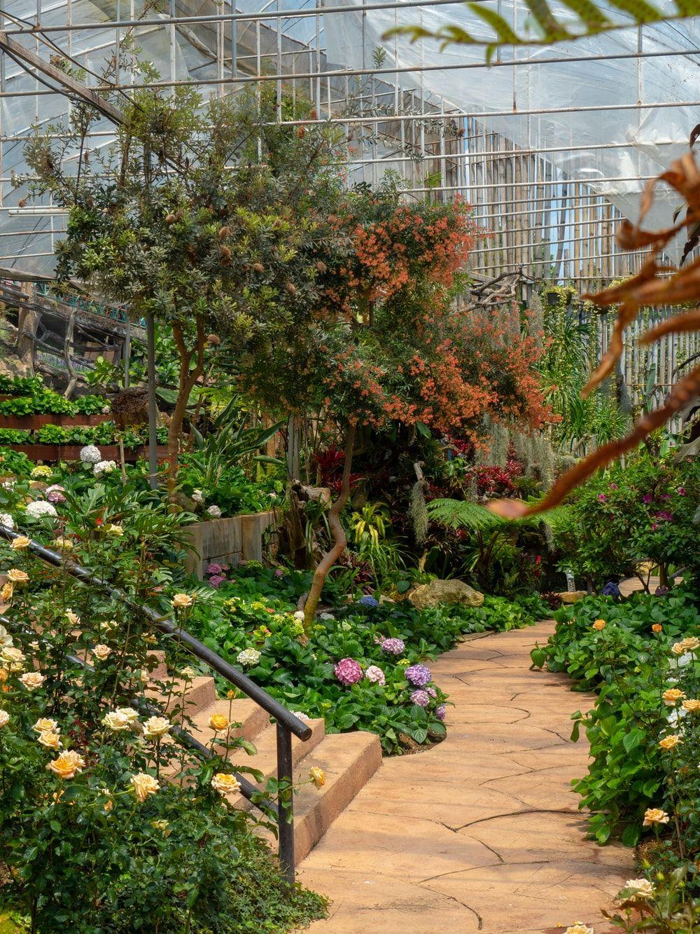 Colorful Garden Wallpapers - Top Free Colorful Garden Backgrounds ...