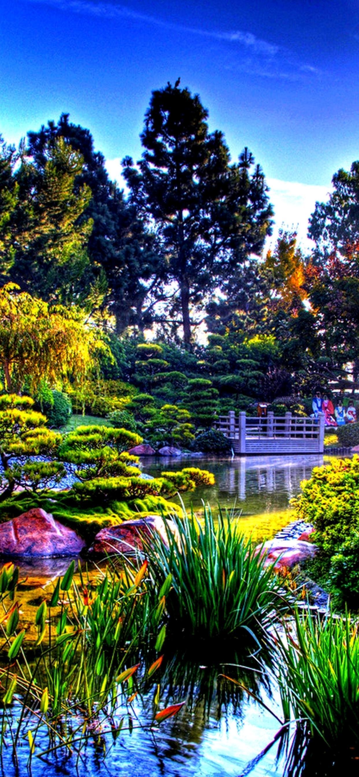 Colorful Garden Wallpapers - Top Free Colorful Garden Backgrounds ...