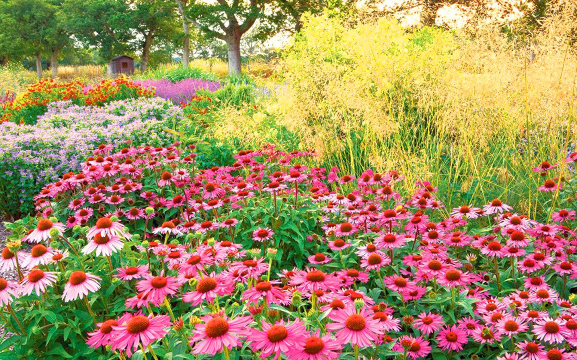 Colorful Garden Wallpapers - Top Free Colorful Garden Backgrounds ...