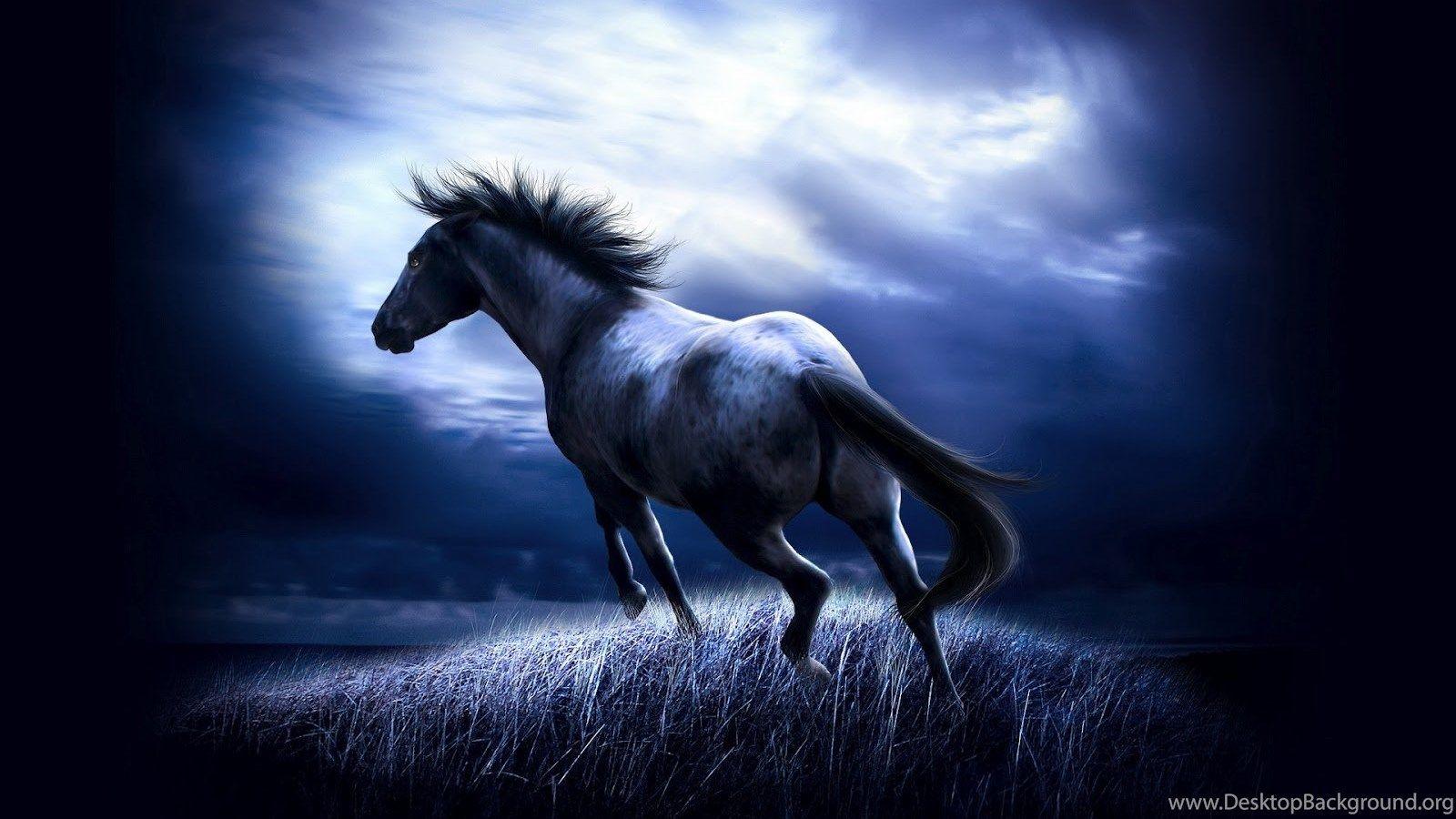Beautiful Horse HD Wallpapers - Top Free Beautiful Horse HD Backgrounds ...