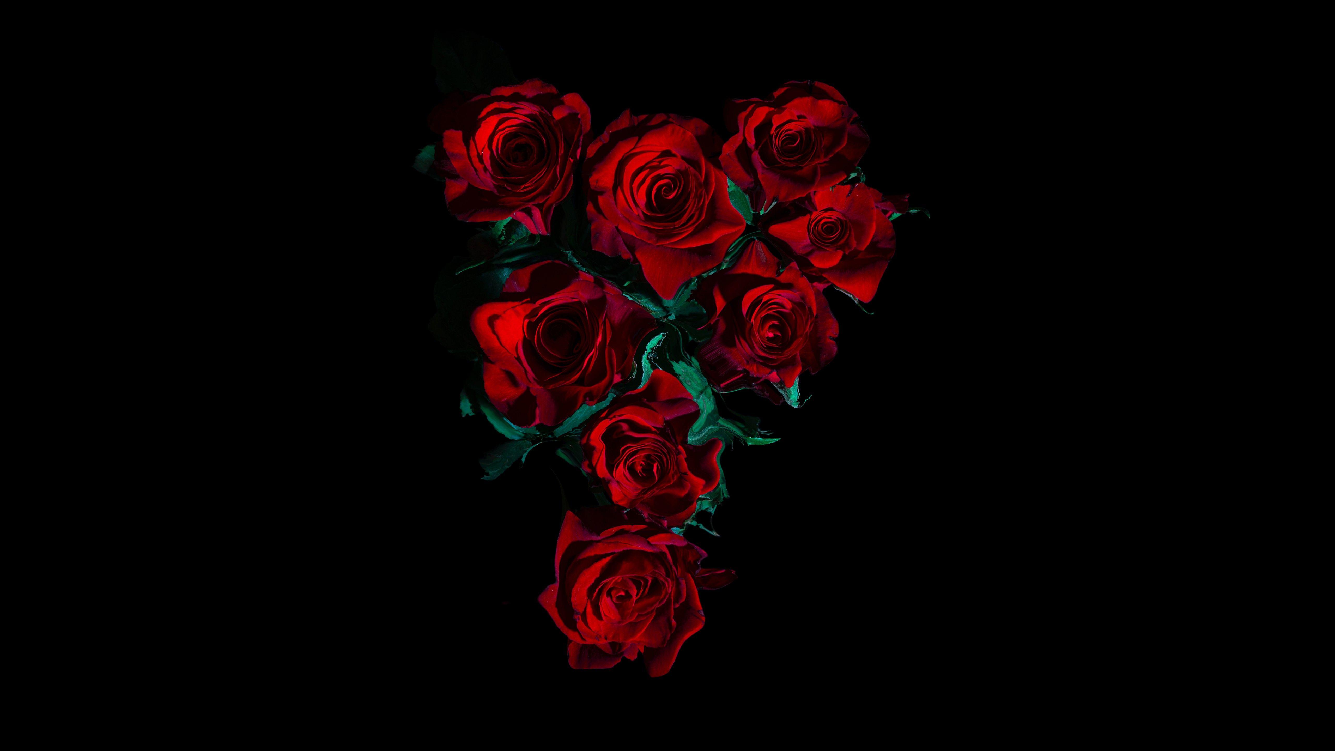Black Red Rose Wallpapers - Top Free Black Red Rose Backgrounds ...