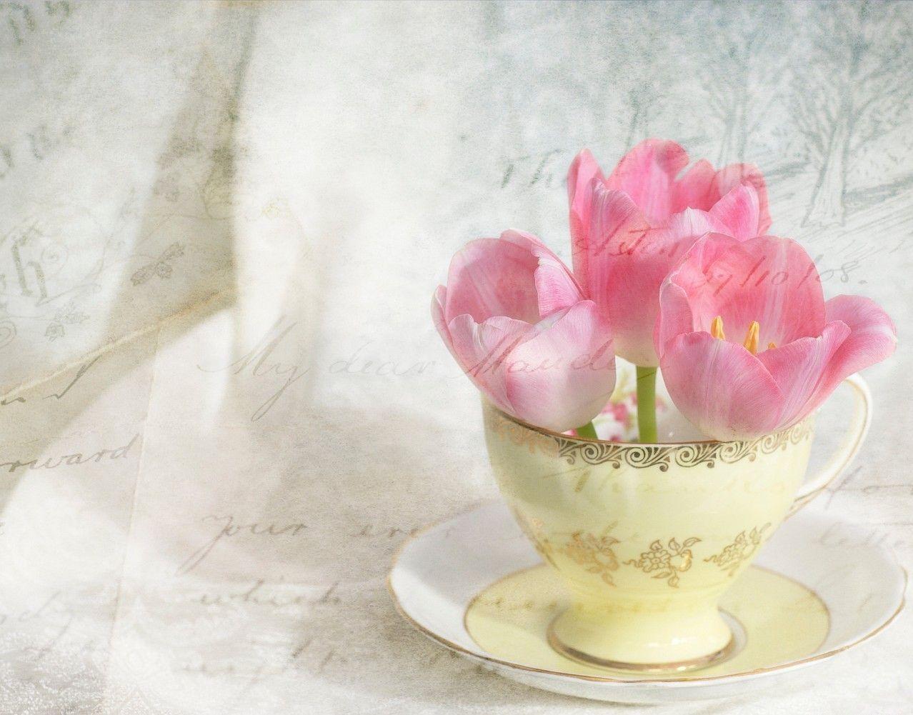 Cute Vintage Wallpapers - Top Free Cute Vintage Backgrounds ...