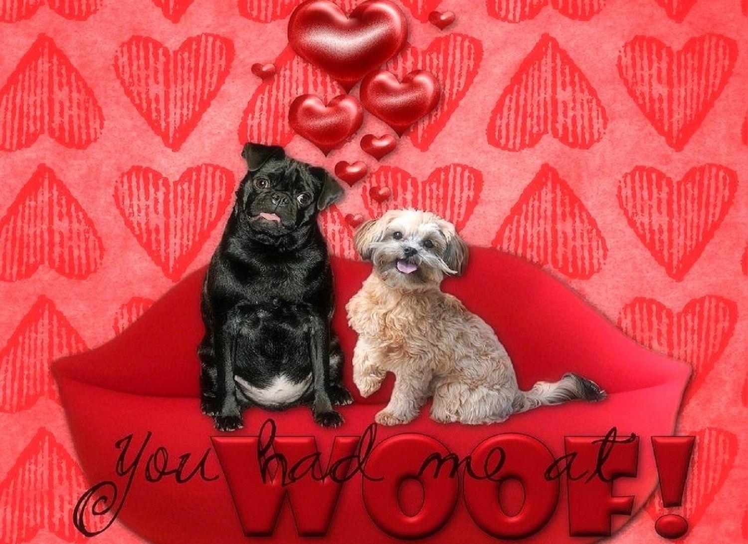 Valentine Dog Wallpapers - Top Free Valentine Dog Backgrounds ...