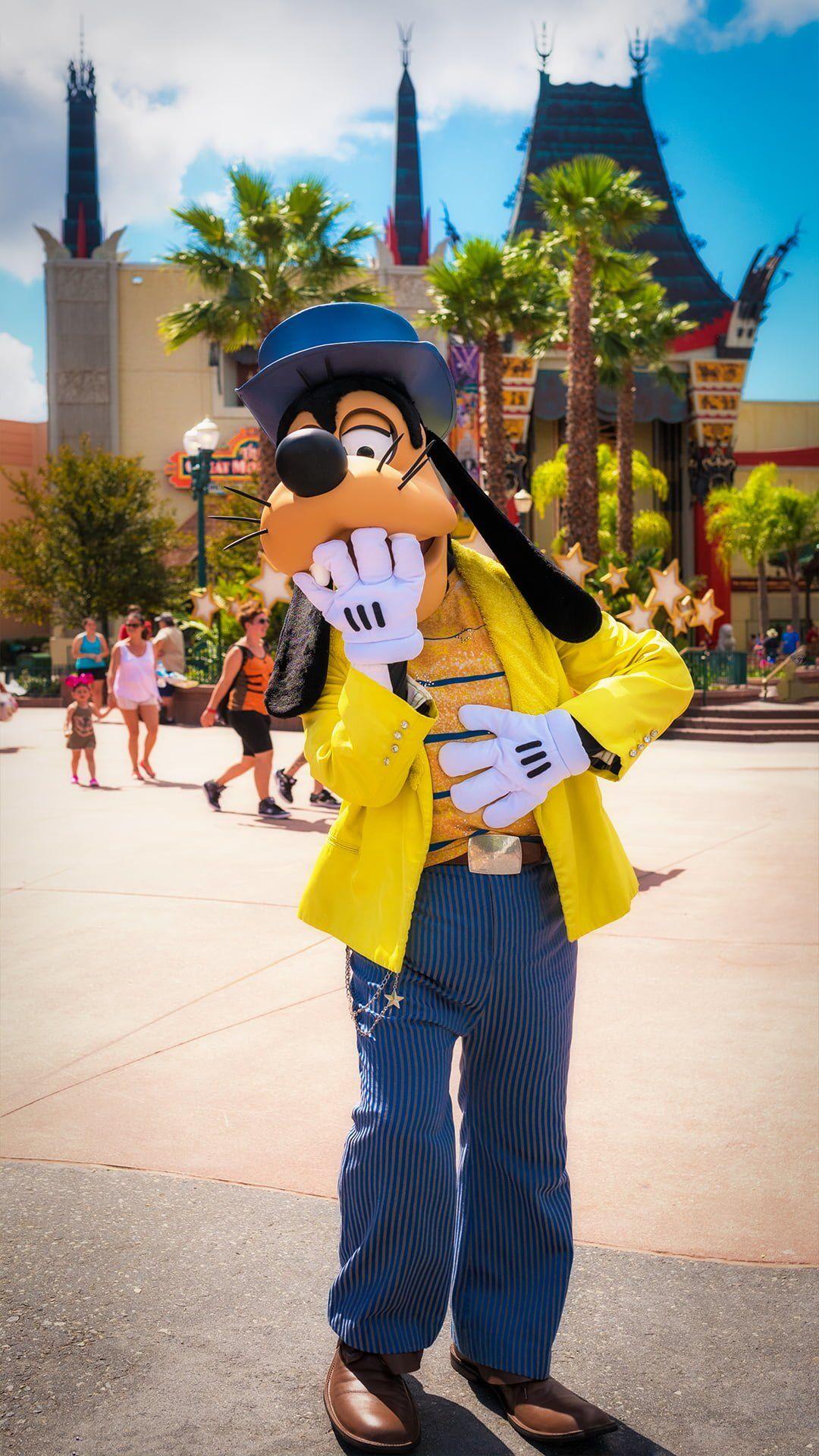 Goofy Disney iPhone Wallpapers - Top Free Goofy Disney iPhone ...