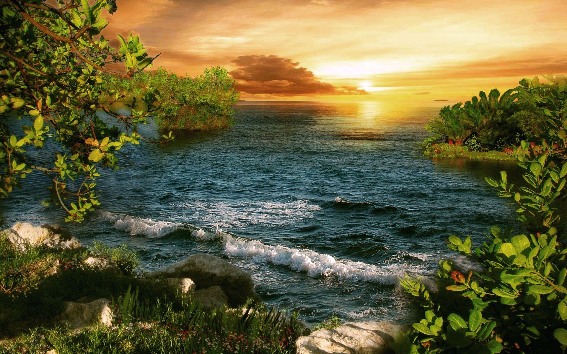 Jungle Beach Wallpapers - Top Free Jungle Beach Backgrounds ...