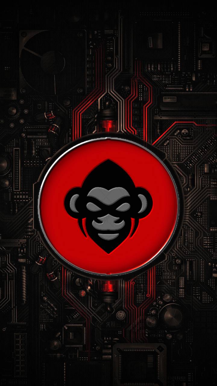 Angry Gorilla Wallpapers - Top Free Angry Gorilla Backgrounds ...