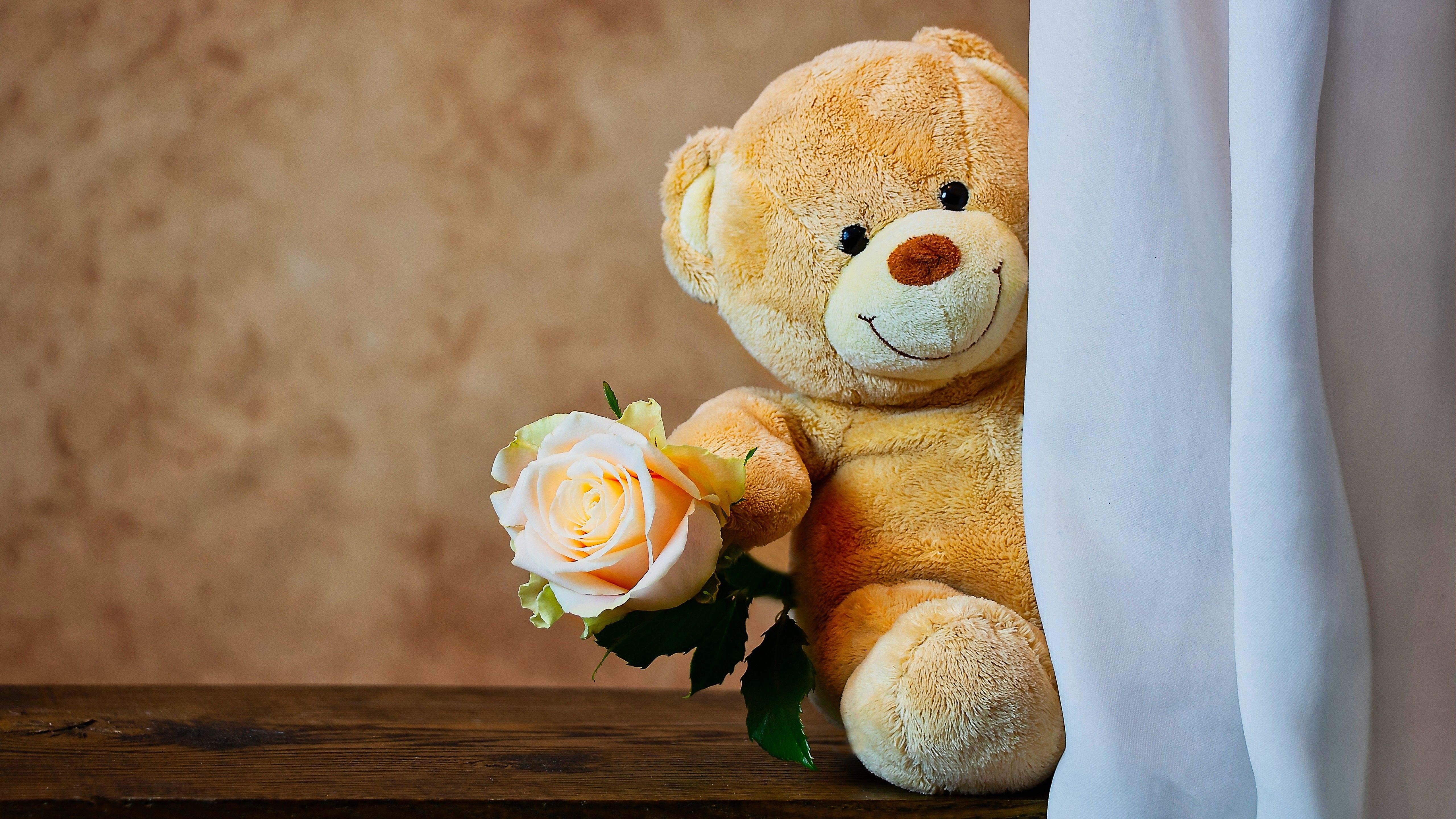 Cute Teddy Wallpapers - Top Free Cute Teddy Backgrounds - WallpaperAccess