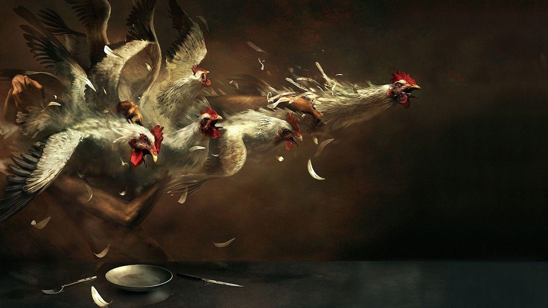 Cool Chicken Wallpapers - Top Free Cool Chicken Backgrounds ...