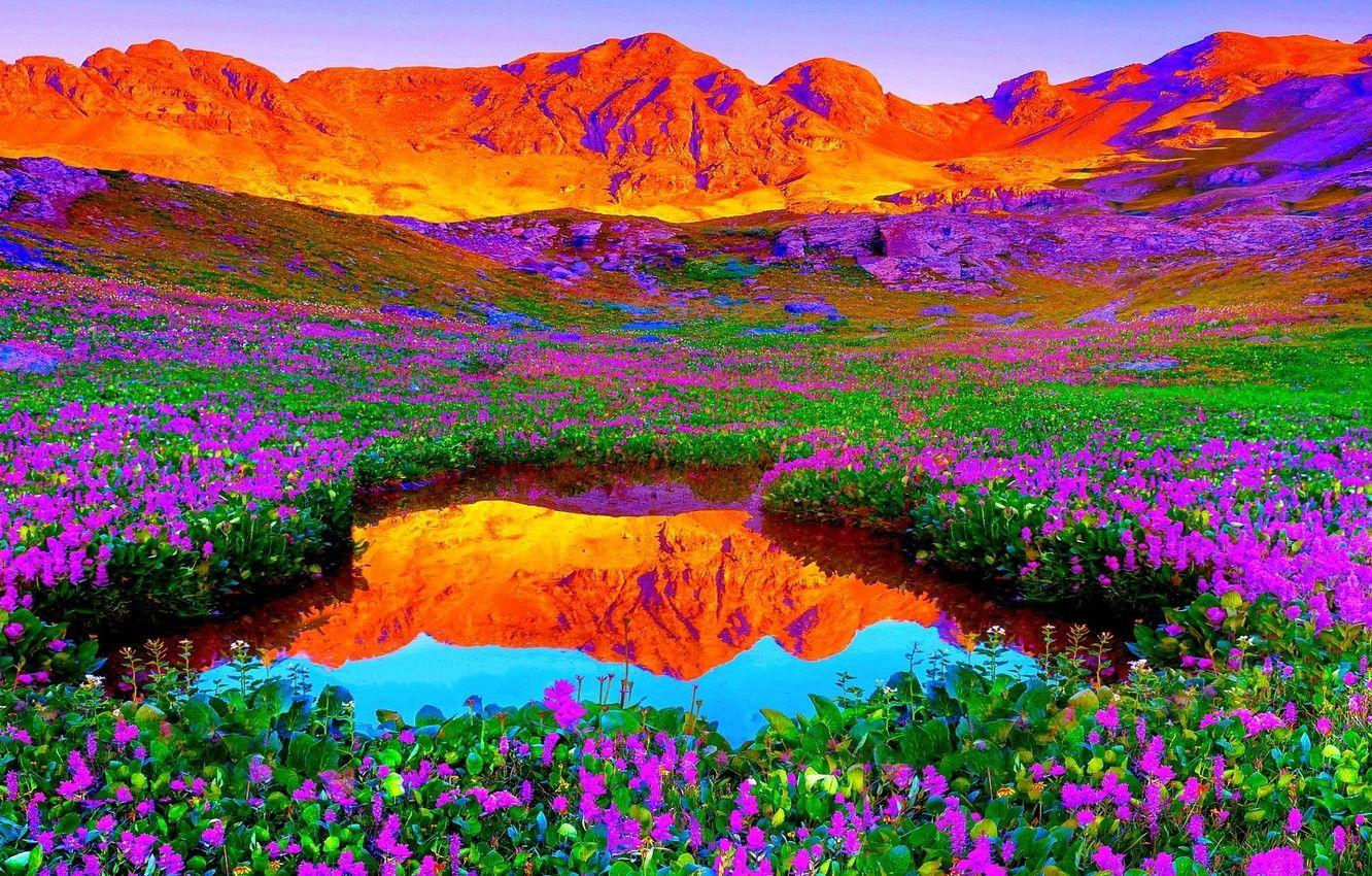 Flowers Mountain Wallpapers - Top Free Flowers Mountain Backgrounds ...