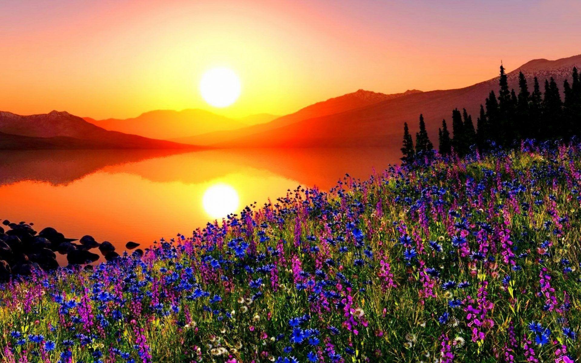 Flowers Mountain Wallpapers - Top Free Flowers Mountain Backgrounds ...