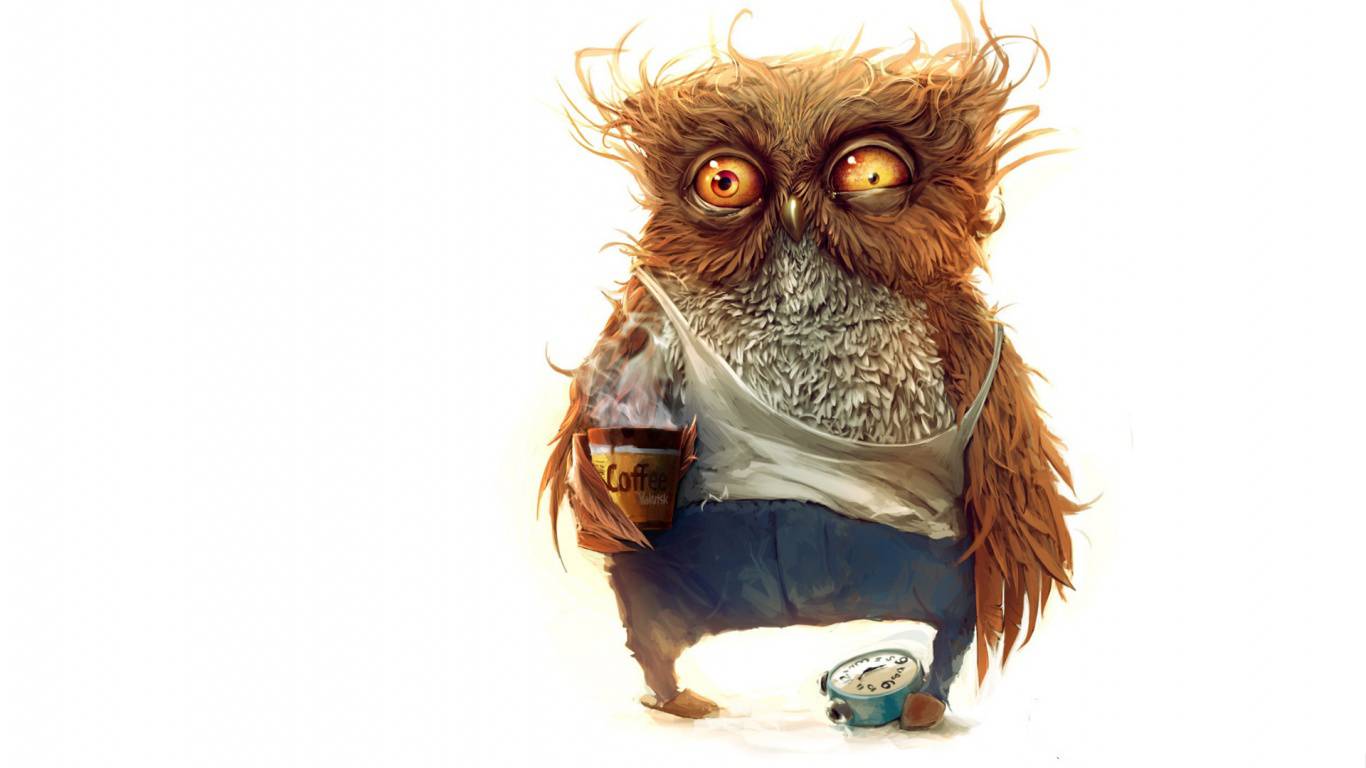 Owl Funny Wallpapers - Top Free Owl Funny Backgrounds - WallpaperAccess Owl Funny Wallpapers - Top Free Owl Funny Backgrounds - WallpaperAccess