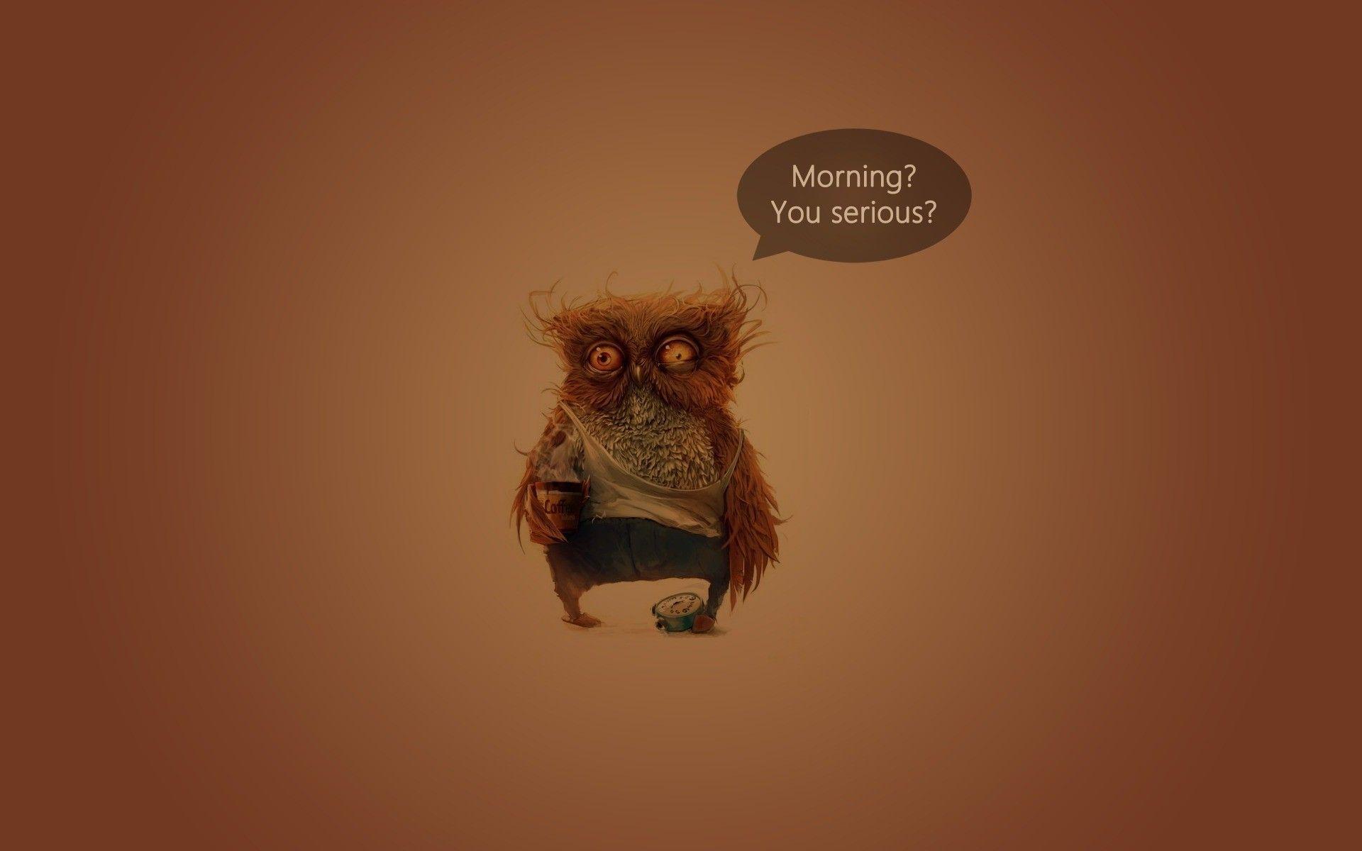 Owl Funny Wallpapers - Top Free Owl Funny Backgrounds - WallpaperAccess
