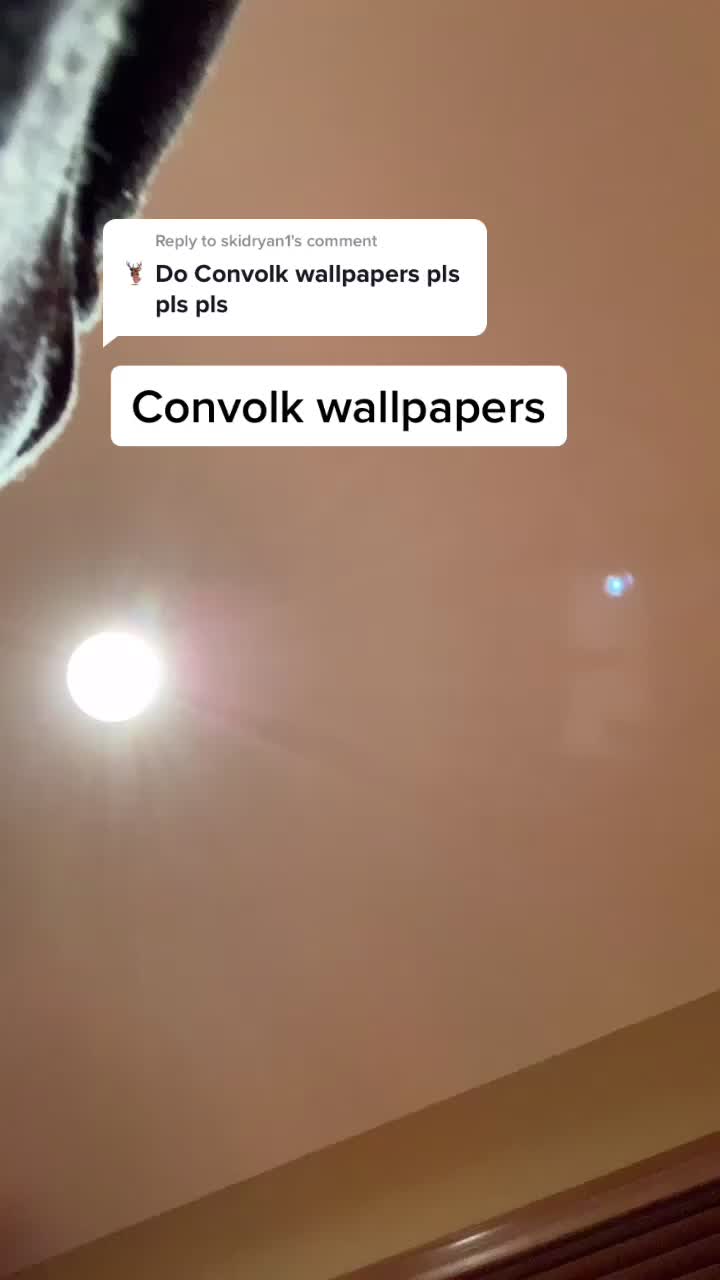 Convolk Wallpapers - Top Free Convolk Backgrounds - WallpaperAccess