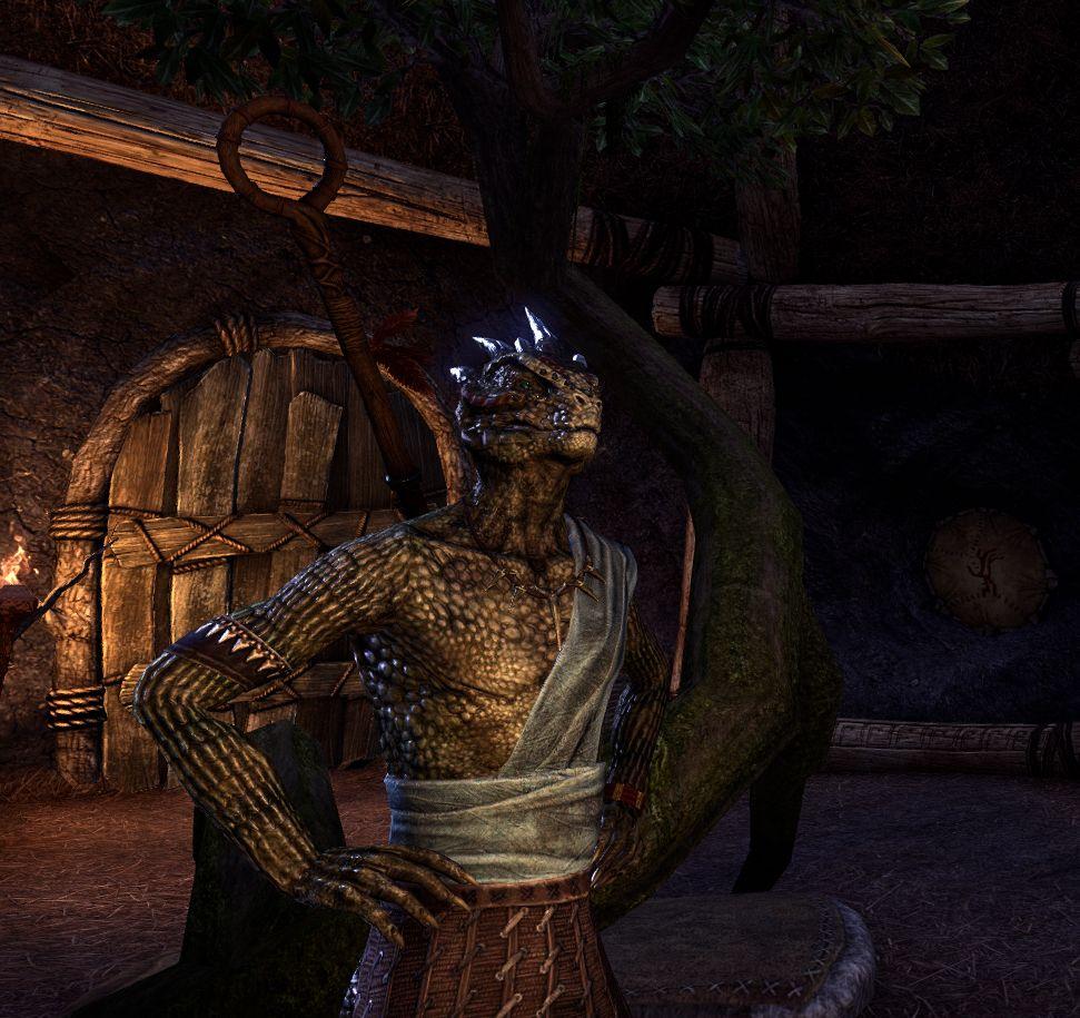 Cool Argonian Wallpapers - Top Free Cool Argonian Backgrounds ...