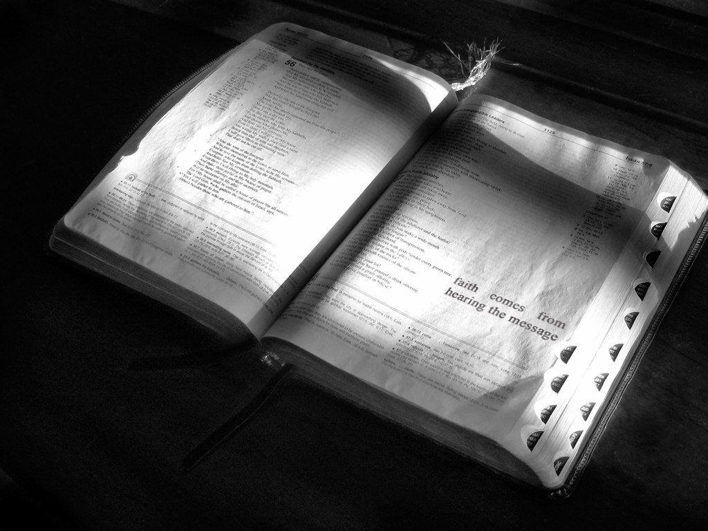 Reformed Wallpapers - Top Free Reformed Backgrounds - WallpaperAccess