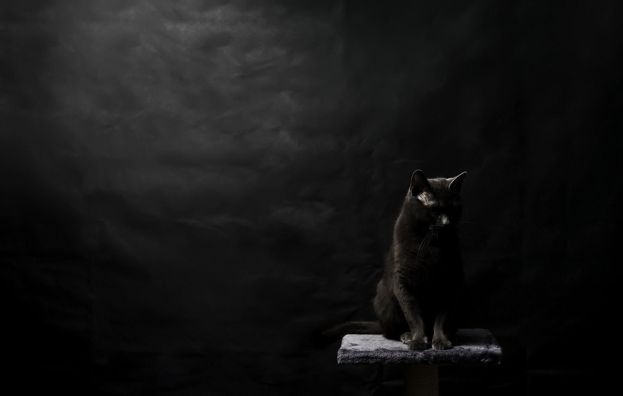 PlayStation 2 Logo Wallpapers - Top Free PlayStation 2 Logo Backgrounds ...