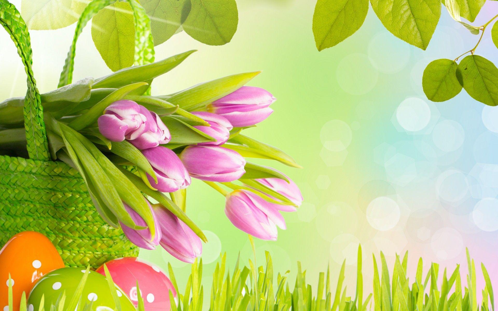 Spring Tulips Wallpapers - Top Free Spring Tulips Backgrounds ...