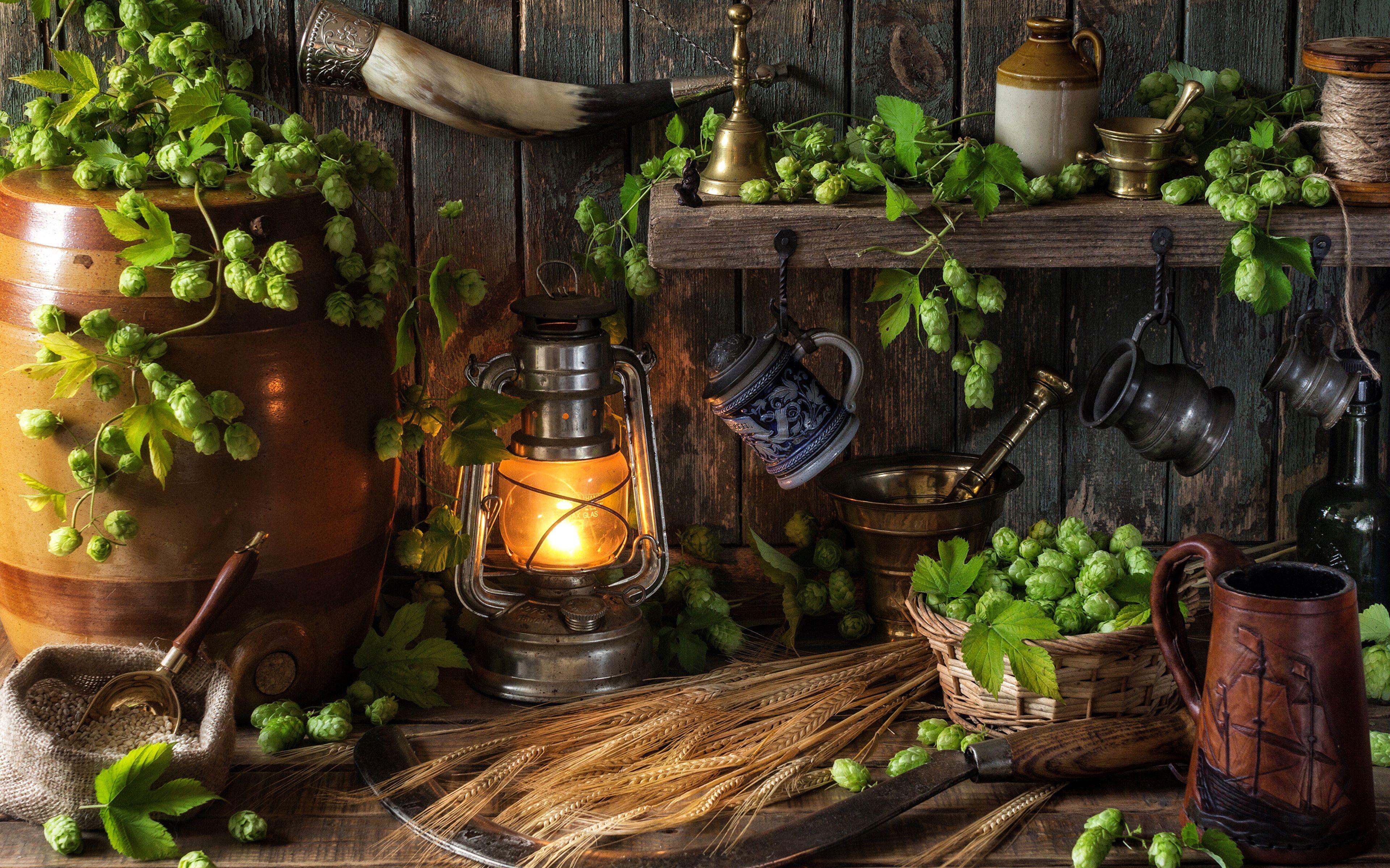 Hops Wallpapers - Top Free Hops Backgrounds - WallpaperAccess