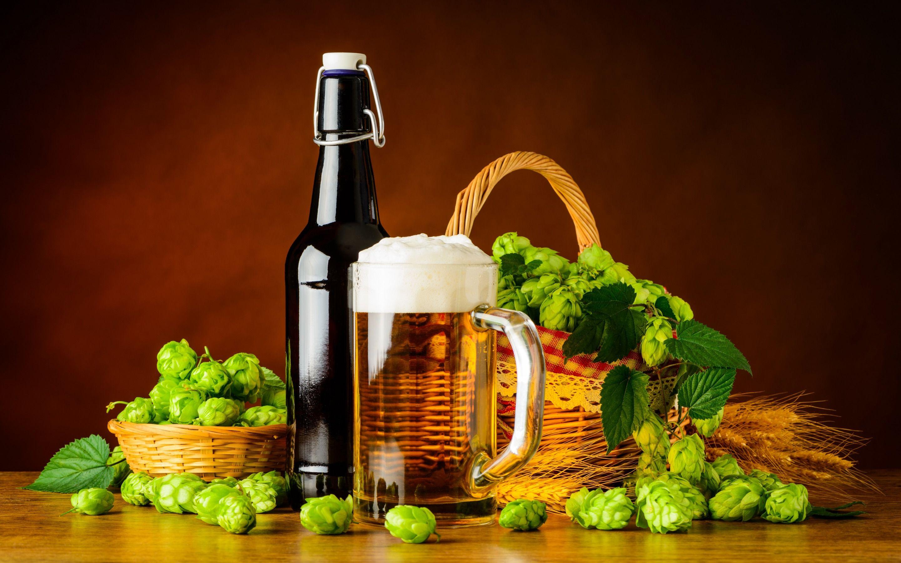 Hops Wallpapers - Top Free Hops Backgrounds - WallpaperAccess