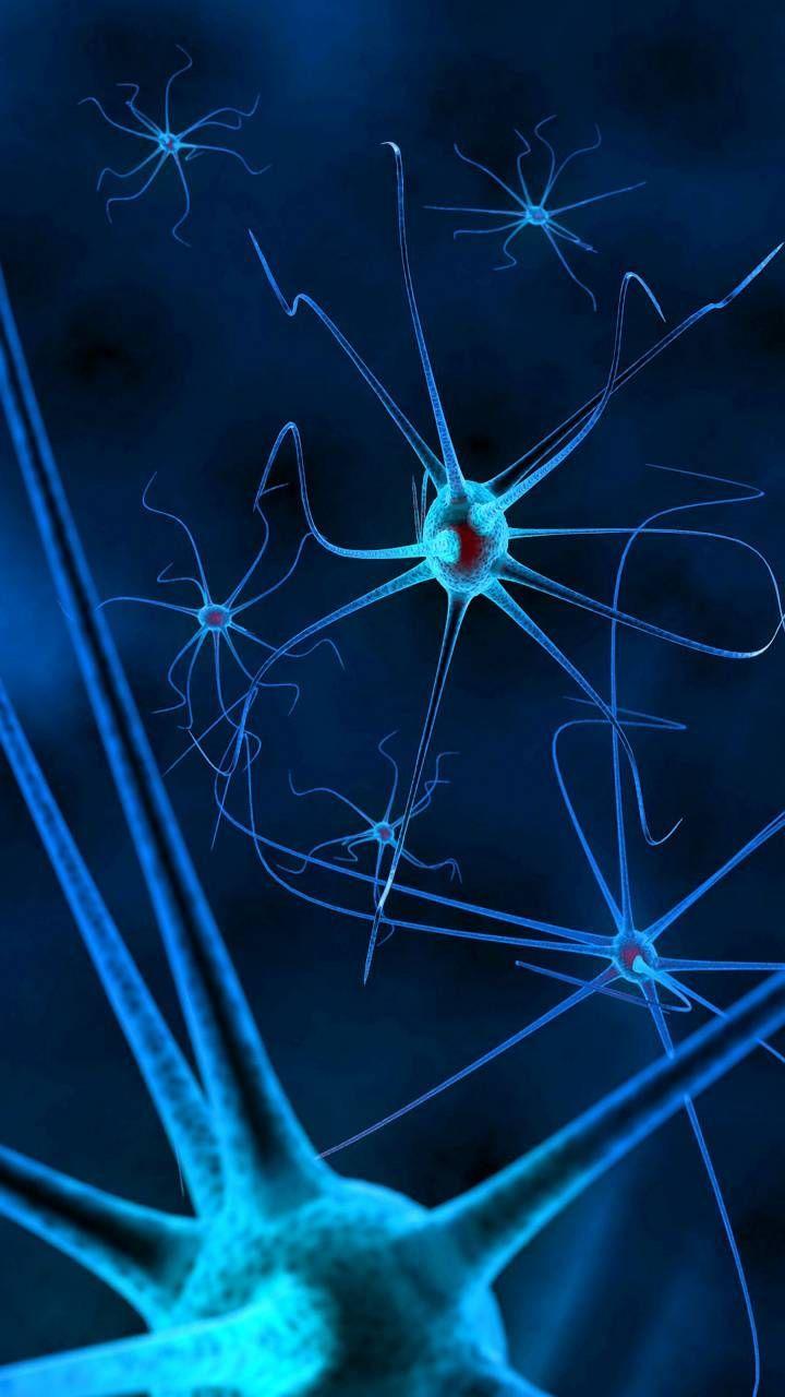 Abstract Neuron Wallpapers - Top Free Abstract Neuron Backgrounds ...
