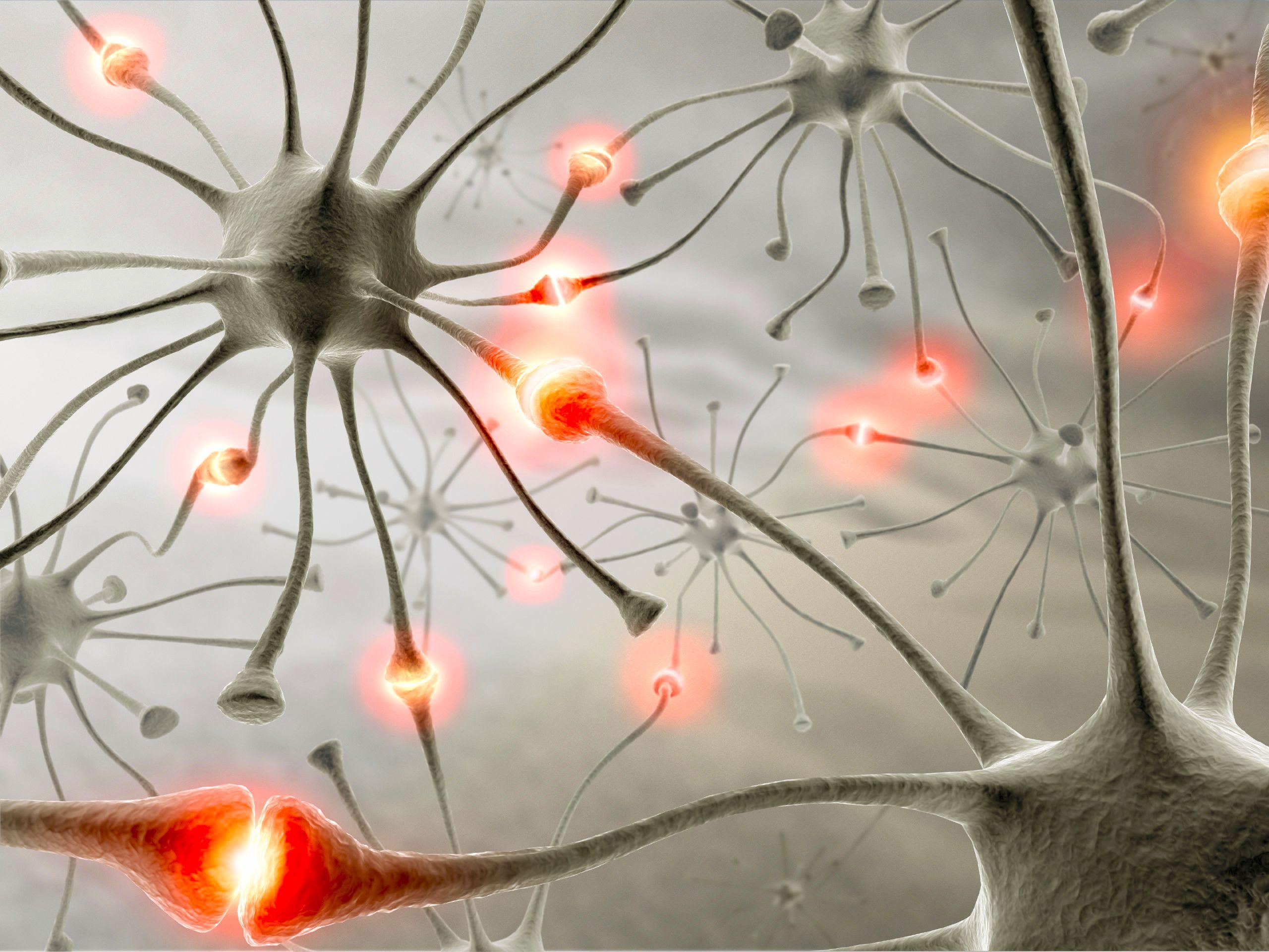 Brain Neuron Wallpapers - Top Free Brain Neuron Backgrounds ...