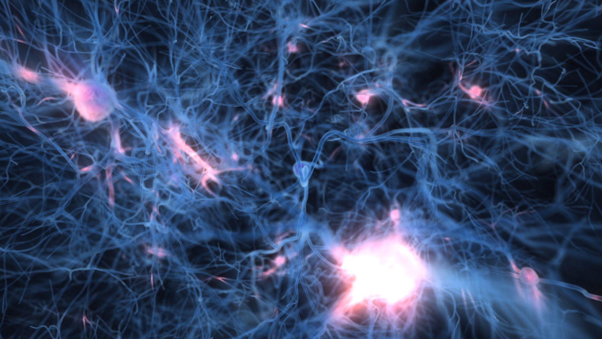 Abstract Neuron Wallpapers - Top Free Abstract Neuron Backgrounds ...