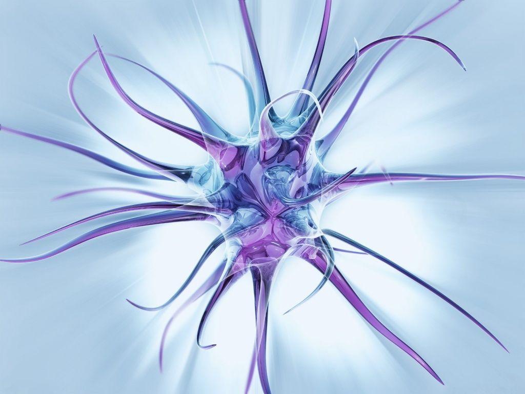 Synapse Wallpapers - Top Free Synapse Backgrounds - WallpaperAccess