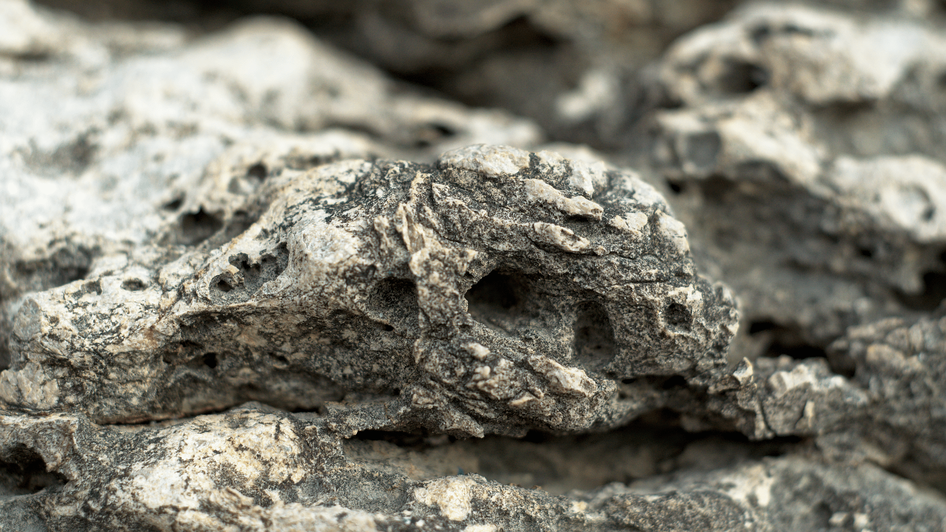 Rocks and Minerals Wallpapers - Top Free Rocks and Minerals Backgrounds ...