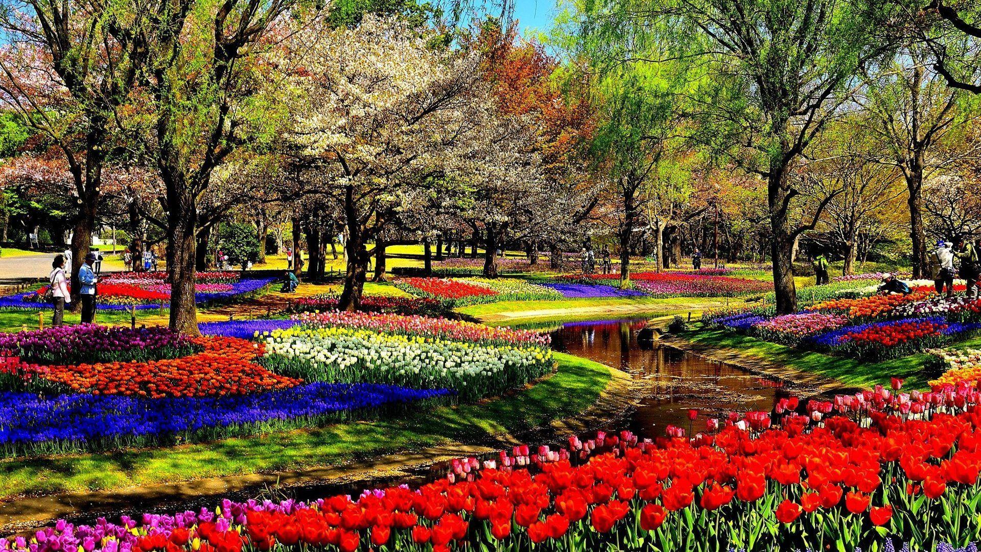 Colorful Garden Wallpapers - Top Free Colorful Garden Backgrounds ...