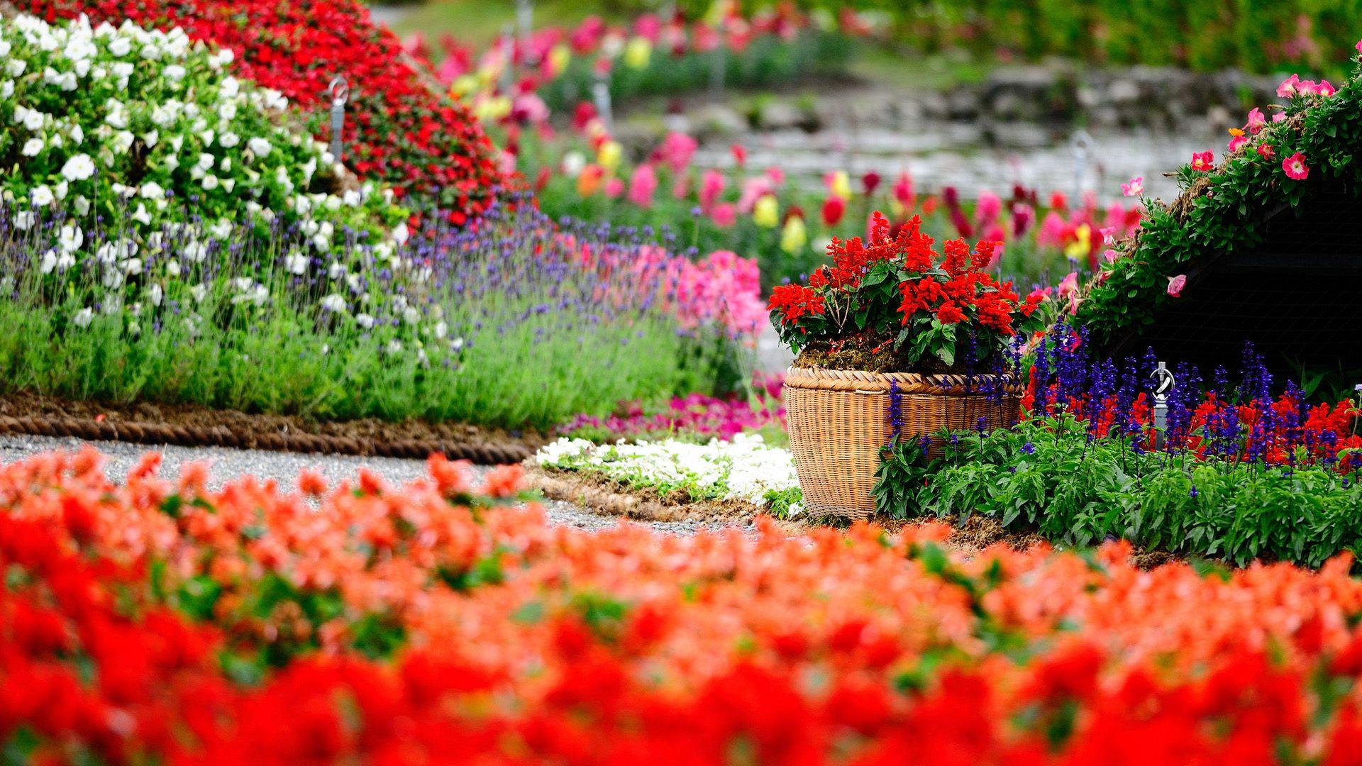 Colorful Garden Wallpapers - Top Free Colorful Garden Backgrounds ...