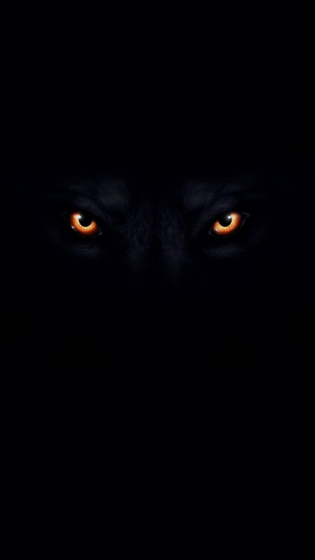 Cat Face iPhone Wallpapers - Top Free Cat Face iPhone Backgrounds ...