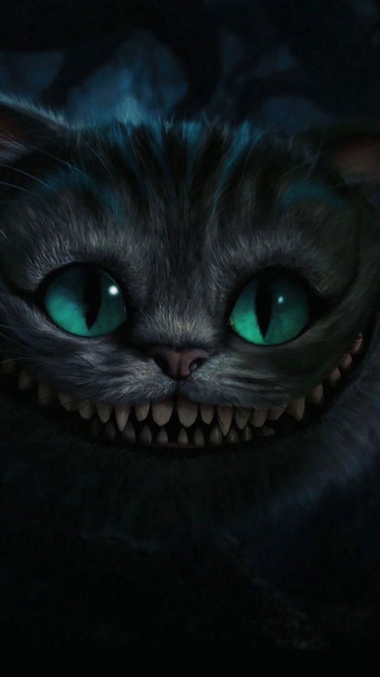 Cat Face iPhone Wallpapers - Top Free Cat Face iPhone Backgrounds ...