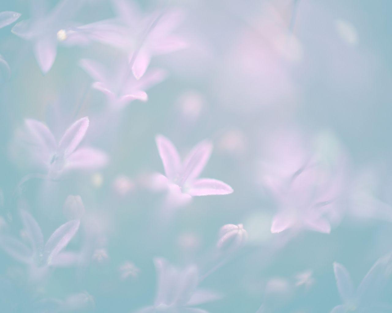 Pastel Flowers Computer Wallpapers - Top Free Pastel Flowers Computer ...
