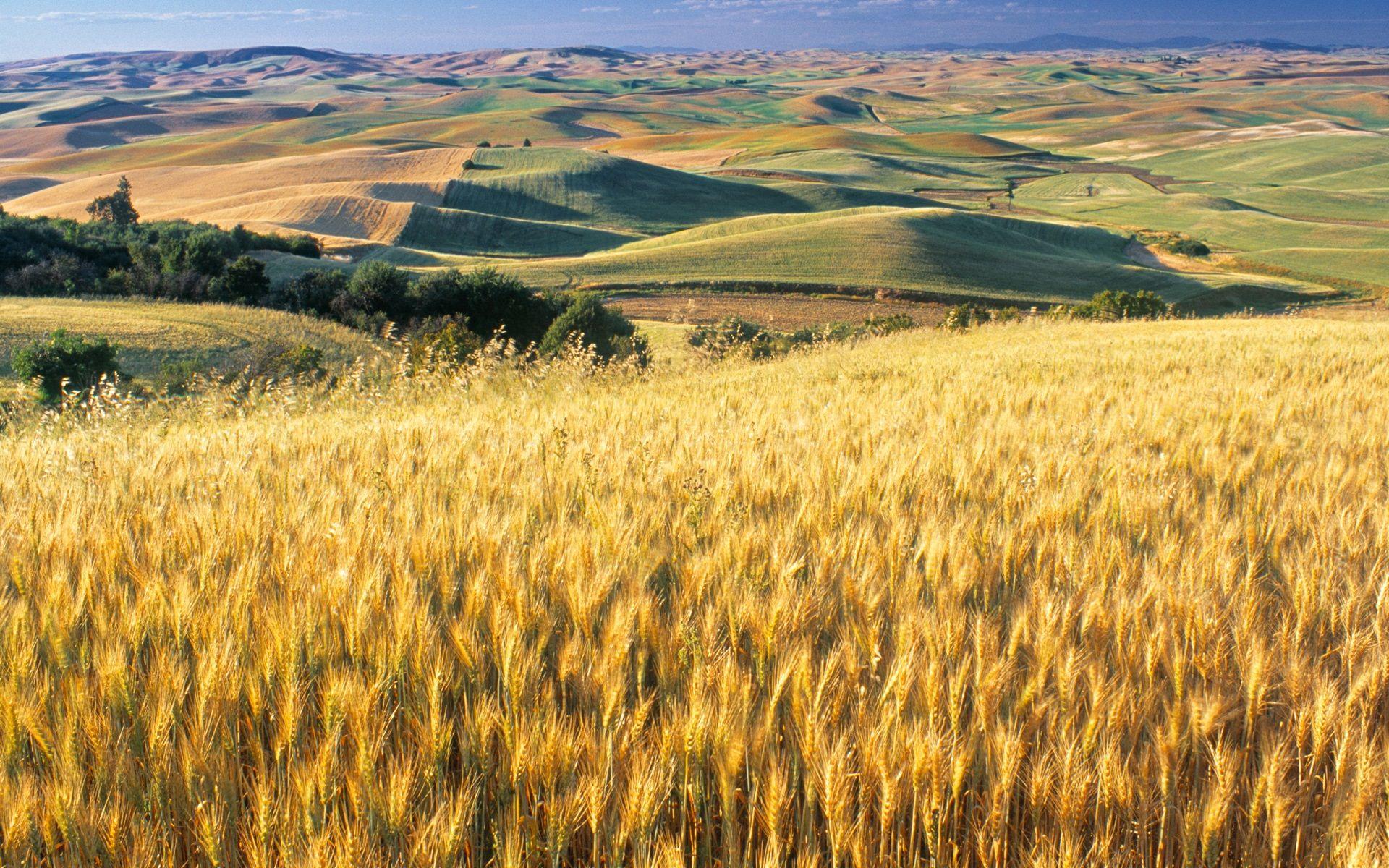 Kansas Wallpapers - Top Free Kansas Backgrounds - WallpaperAccess