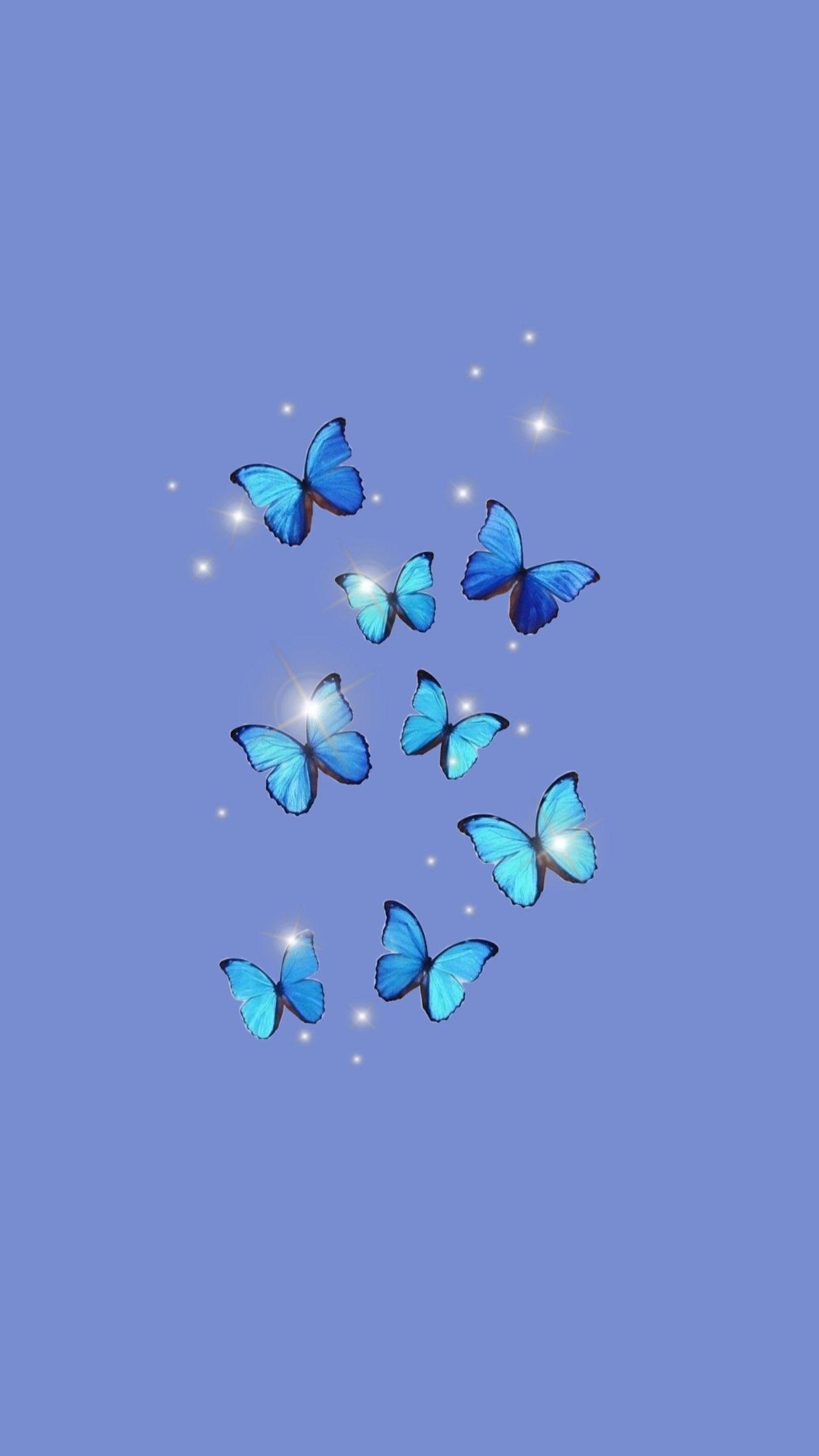 Bling Butterfly Wallpapers - Top Free Bling Butterfly Backgrounds ...