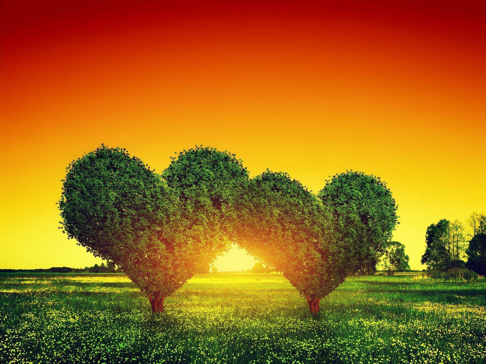 Love Tree Wallpapers - Top Free Love Tree Backgrounds - WallpaperAccess