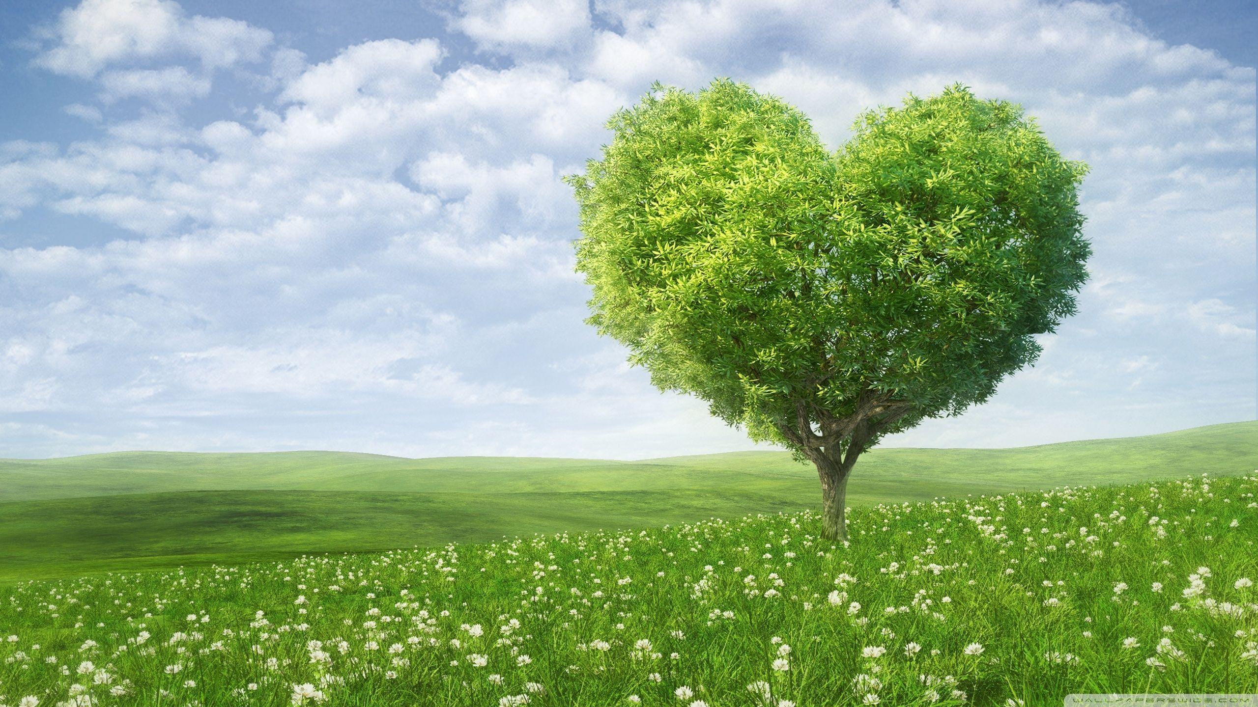 Love Tree Wallpapers - Top Free Love Tree Backgrounds - WallpaperAccess