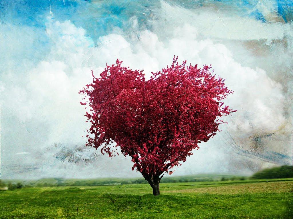 Love Tree Wallpapers - Top Free Love Tree Backgrounds - WallpaperAccess
