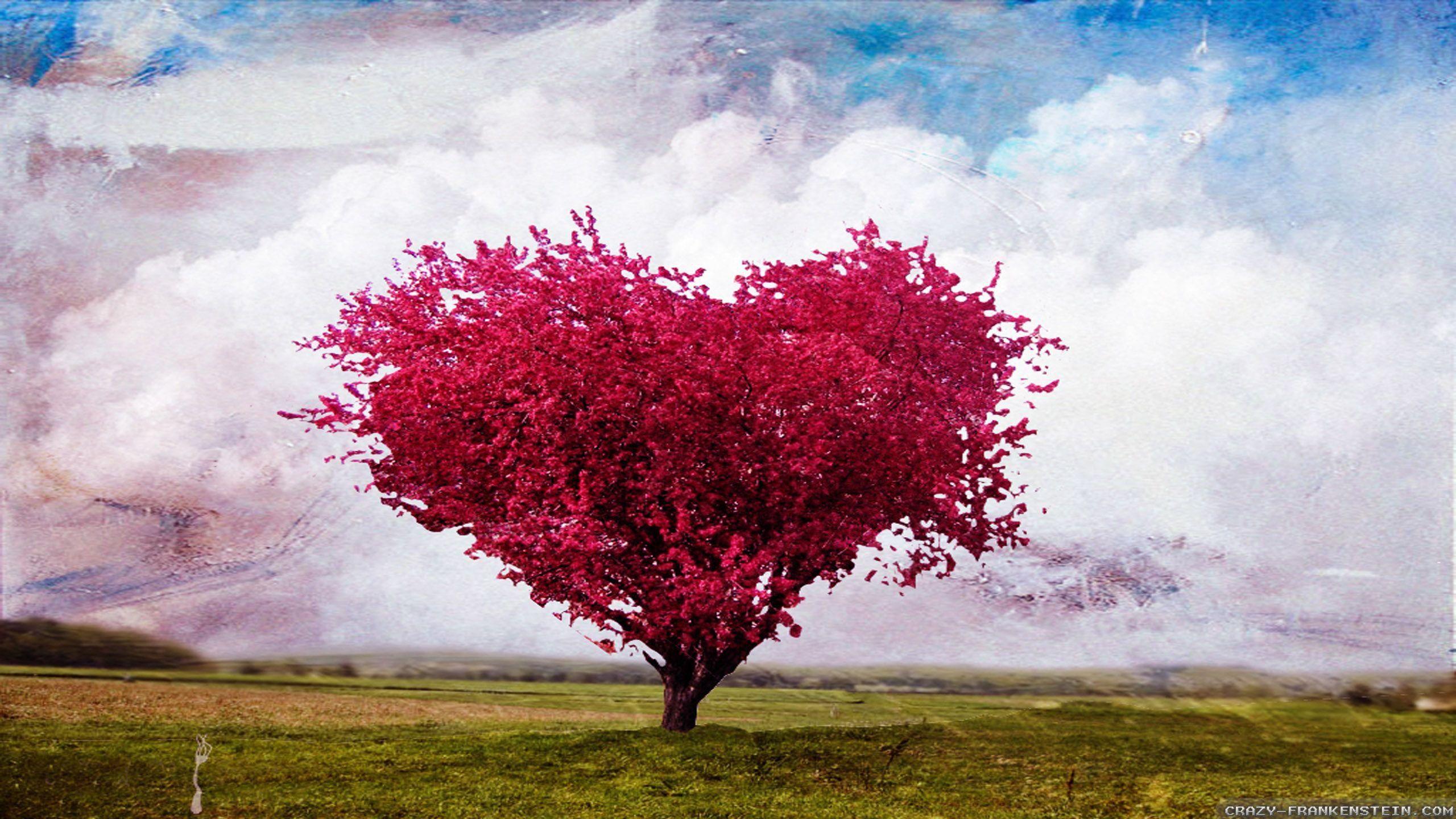 Love Tree Wallpapers - Top Free Love Tree Backgrounds - WallpaperAccess