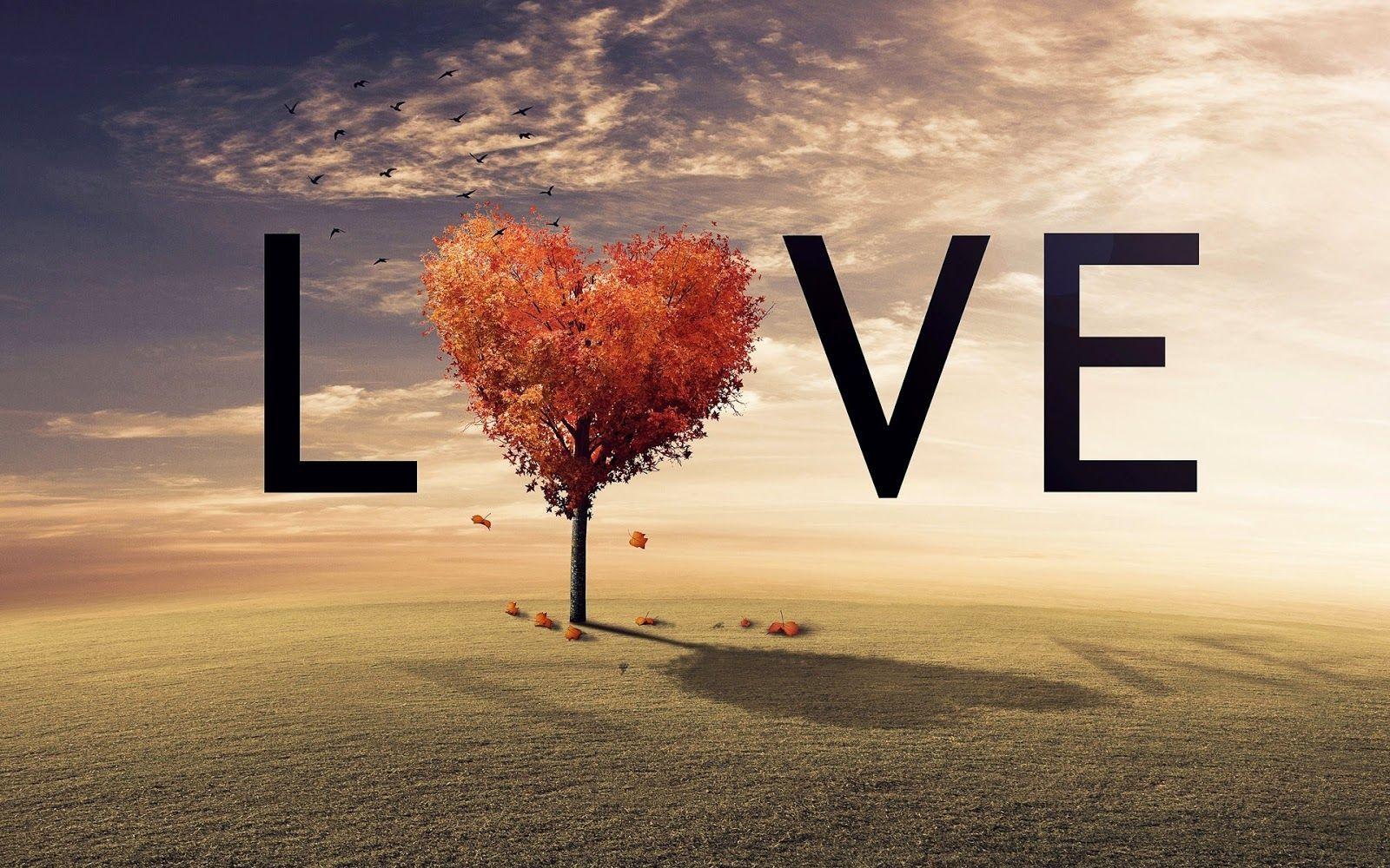 Love Tree Wallpapers - Top Free Love Tree Backgrounds - WallpaperAccess