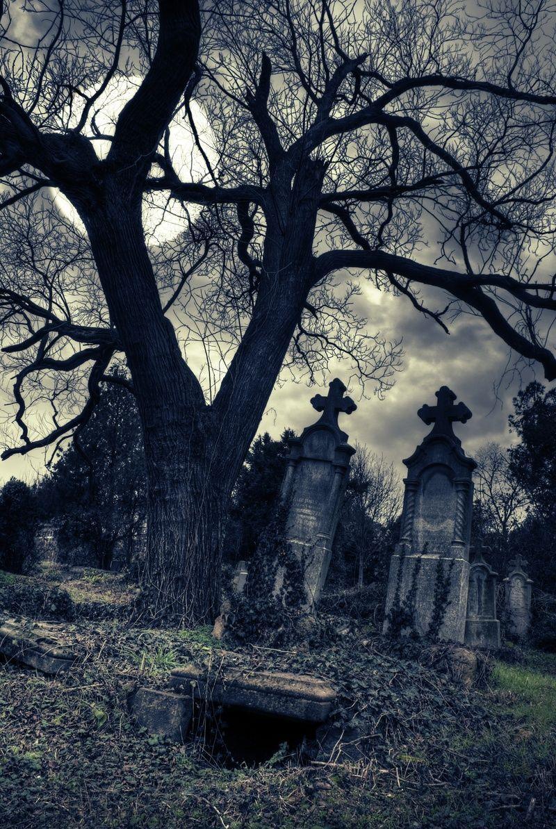 Gothic Cemetery Wallpapers - Top Free Gothic Cemetery Backgrounds ...